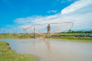 Projects - Ocean Grant Programme