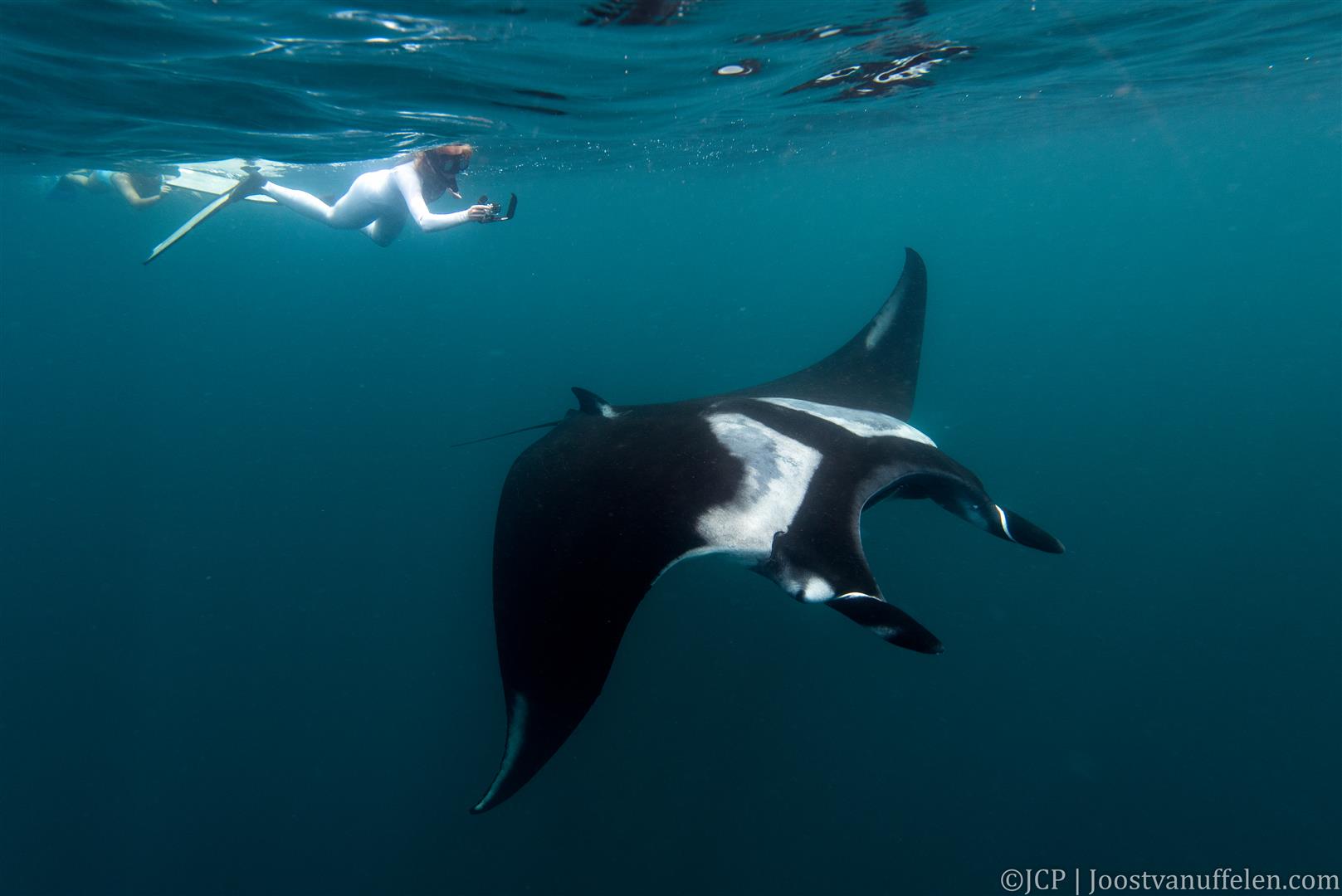 Conservation of Giant Manta Rays in Northern Peru - Ocean Grant Programme