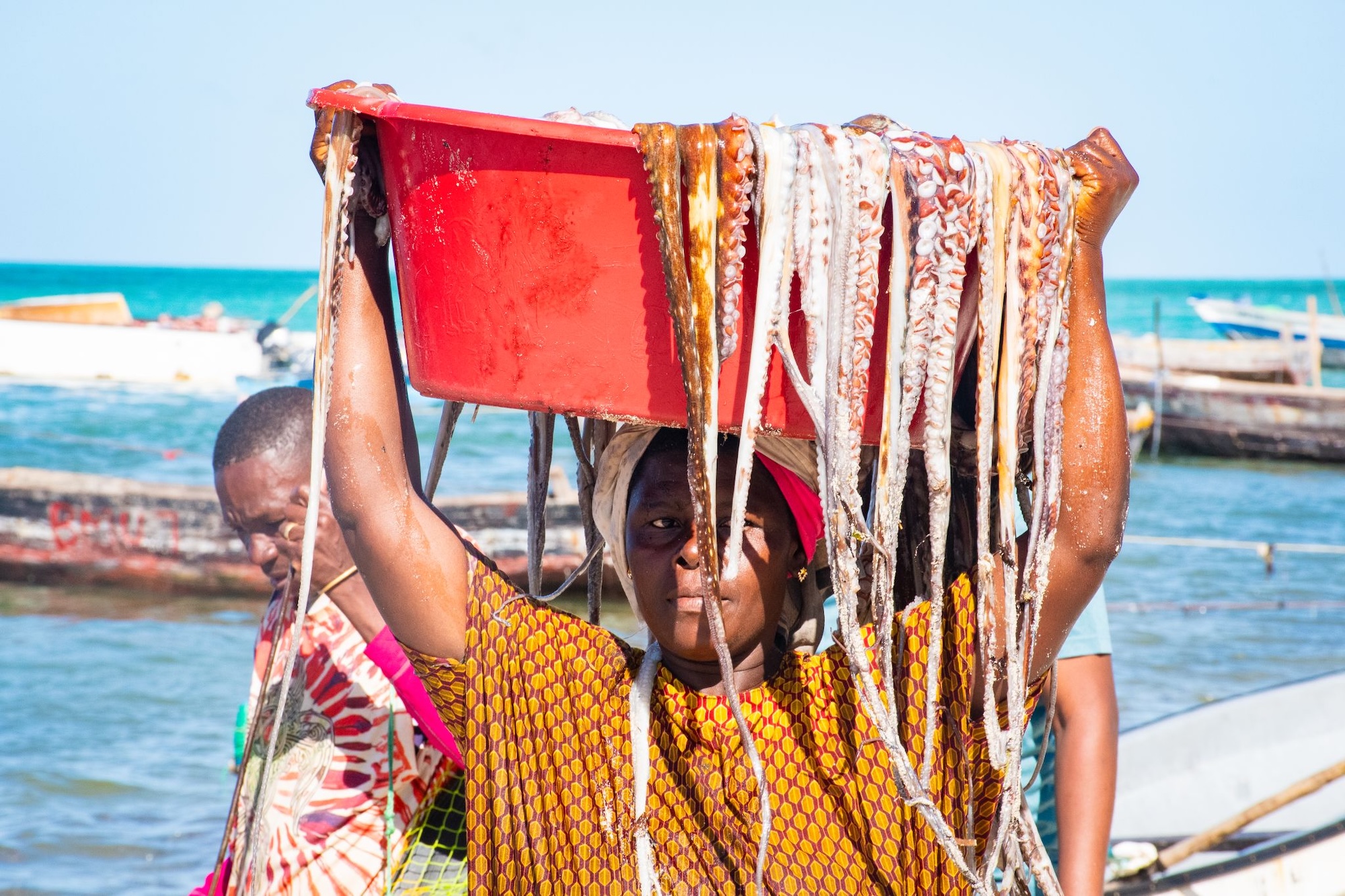 Celebrating the OCEAN Grant Programme’s impact in 2025 - Ocean Grant ...