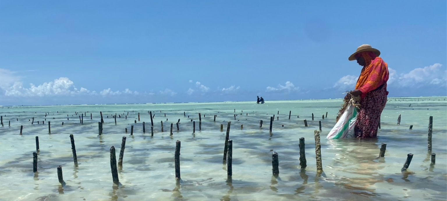 Combatting IUUF in Visayan Sea, Philippines through Empowered Fisher ...