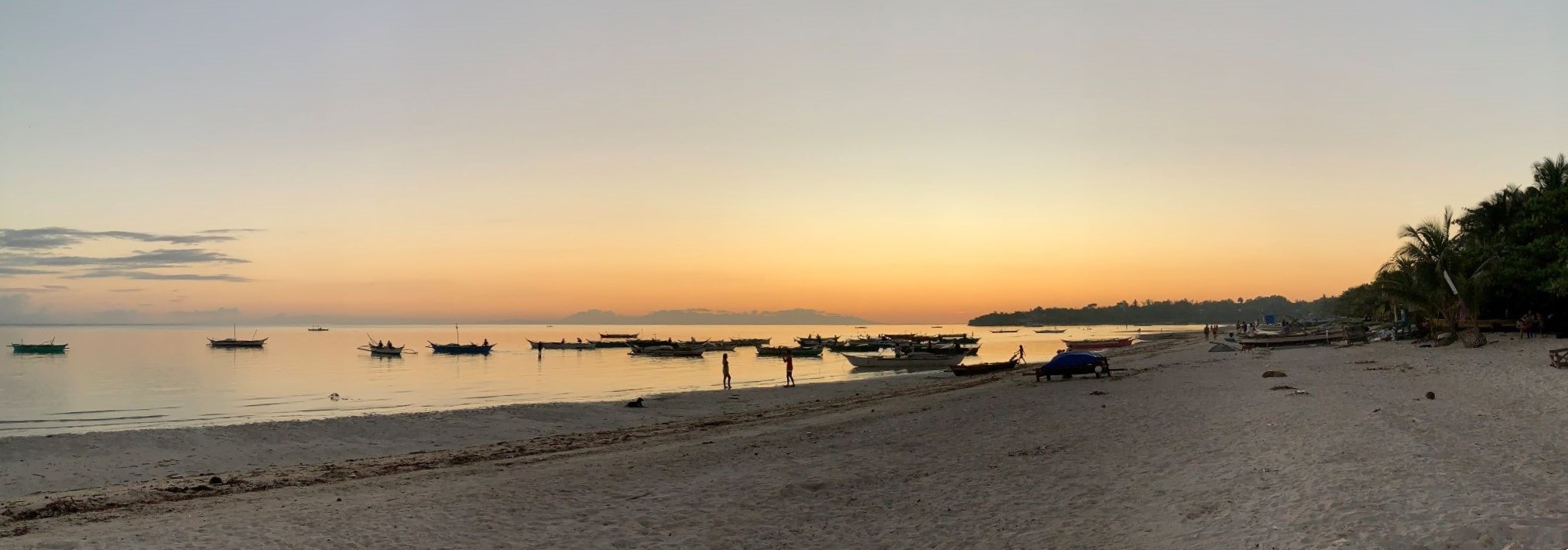 Combatting IUUF in Visayan Sea, Philippines through Empowered Fisher ...