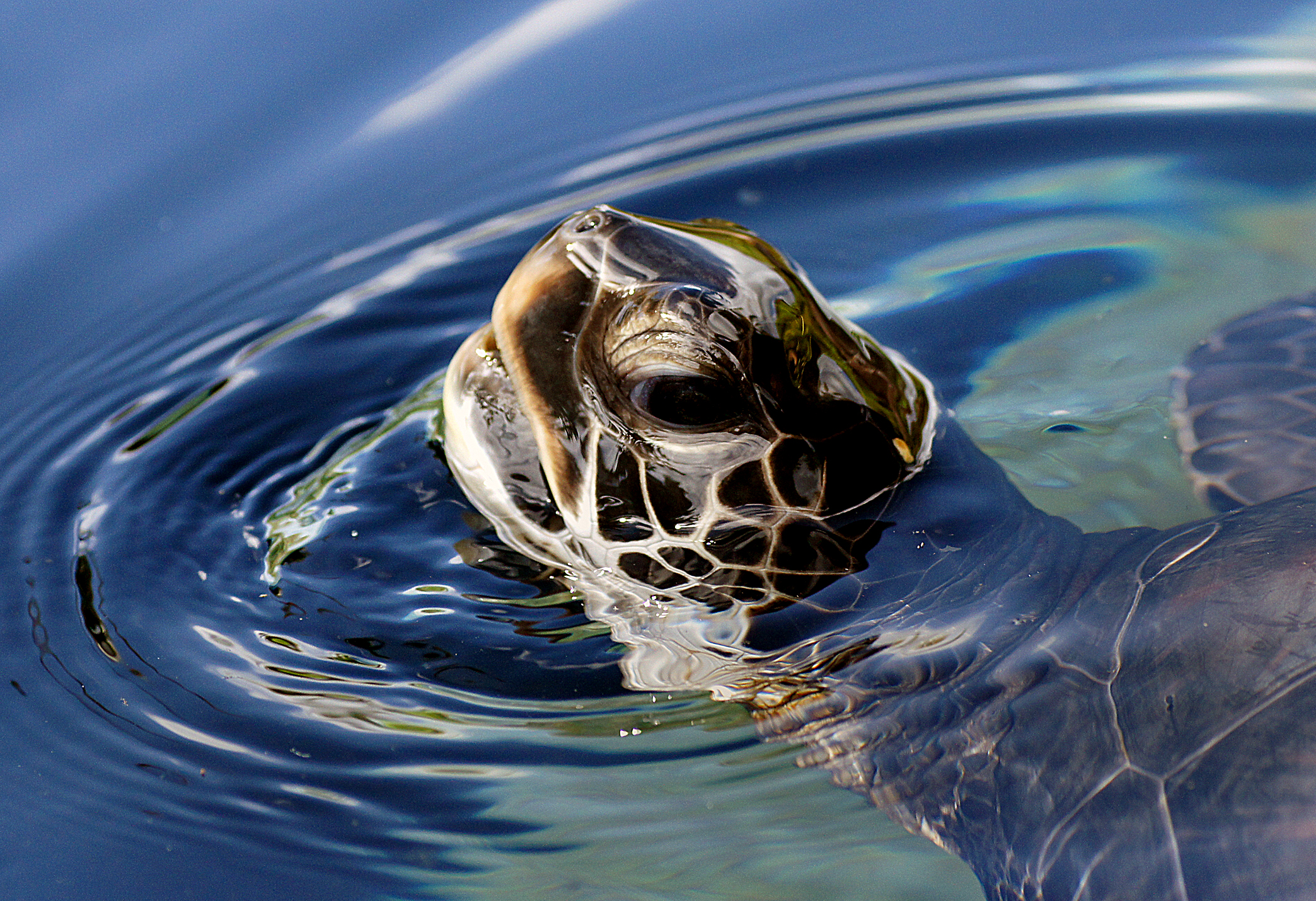 Events - Ocean Grant Programme