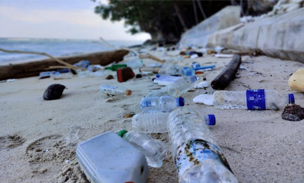 Protecting Central Maluku Region's Biodiversity with Plastic Waste ...