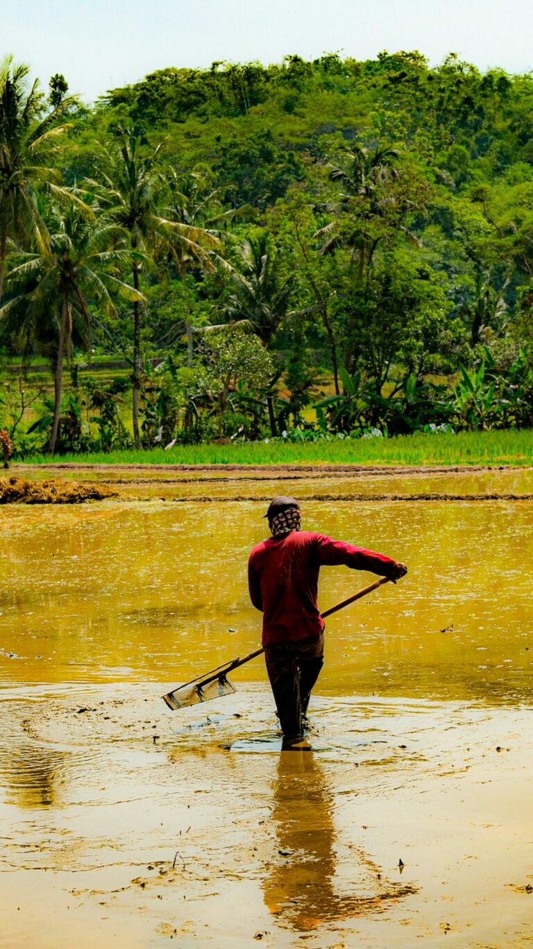 OCEAN Round 2 Essential Information for Partnership Grants - Ocean ...