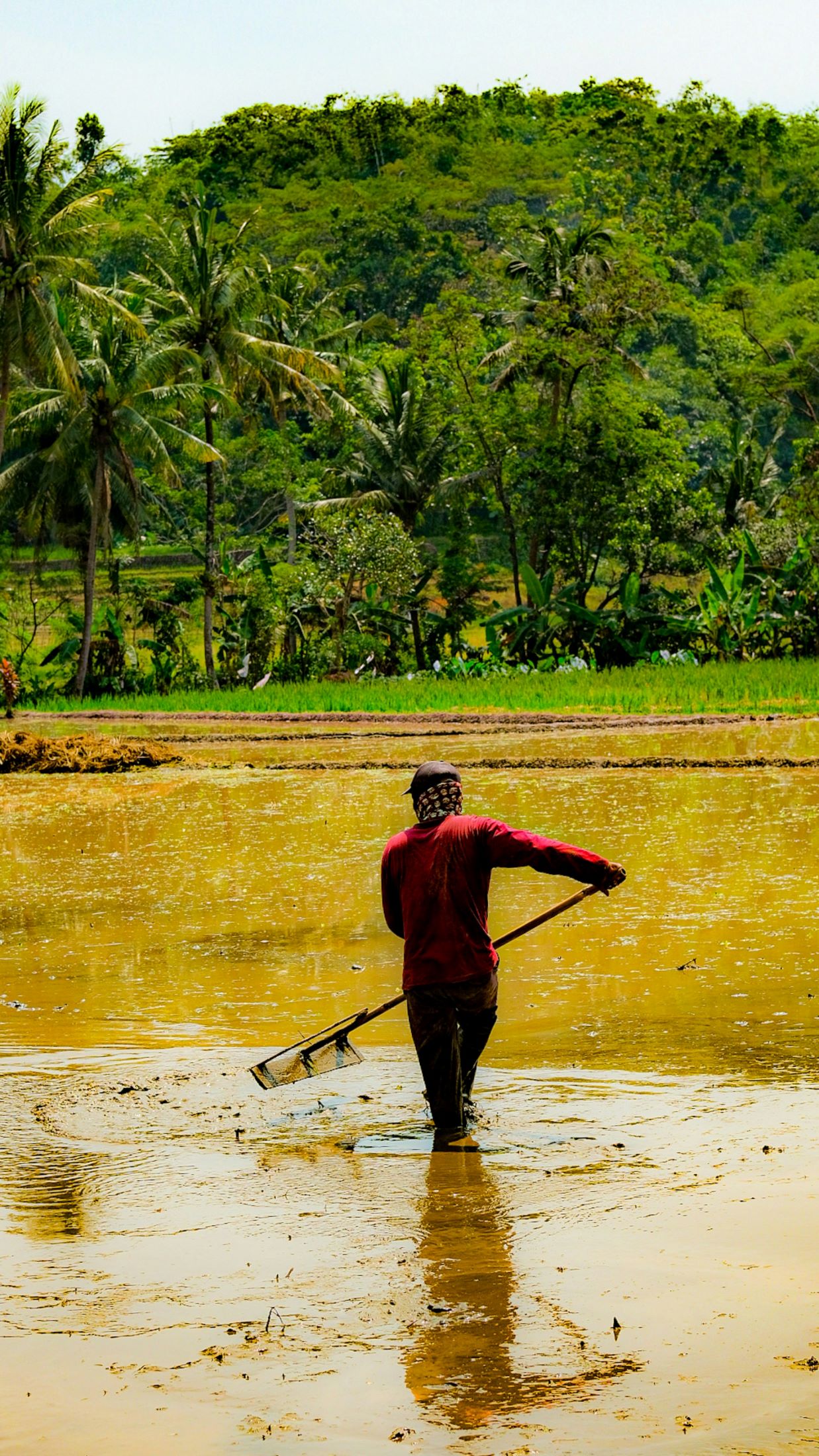 Gender Equality, Disability and Social Inclusion (GEDSI) - Ocean Grant ...