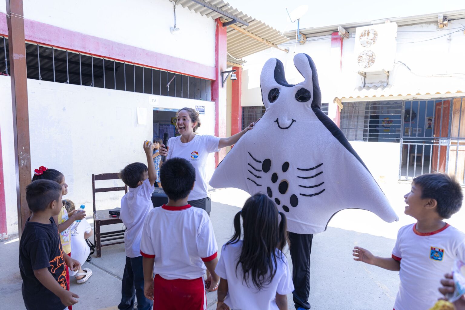 Celebrating the OCEAN Grant Programme’s impact in 2025 - Ocean Grant ...