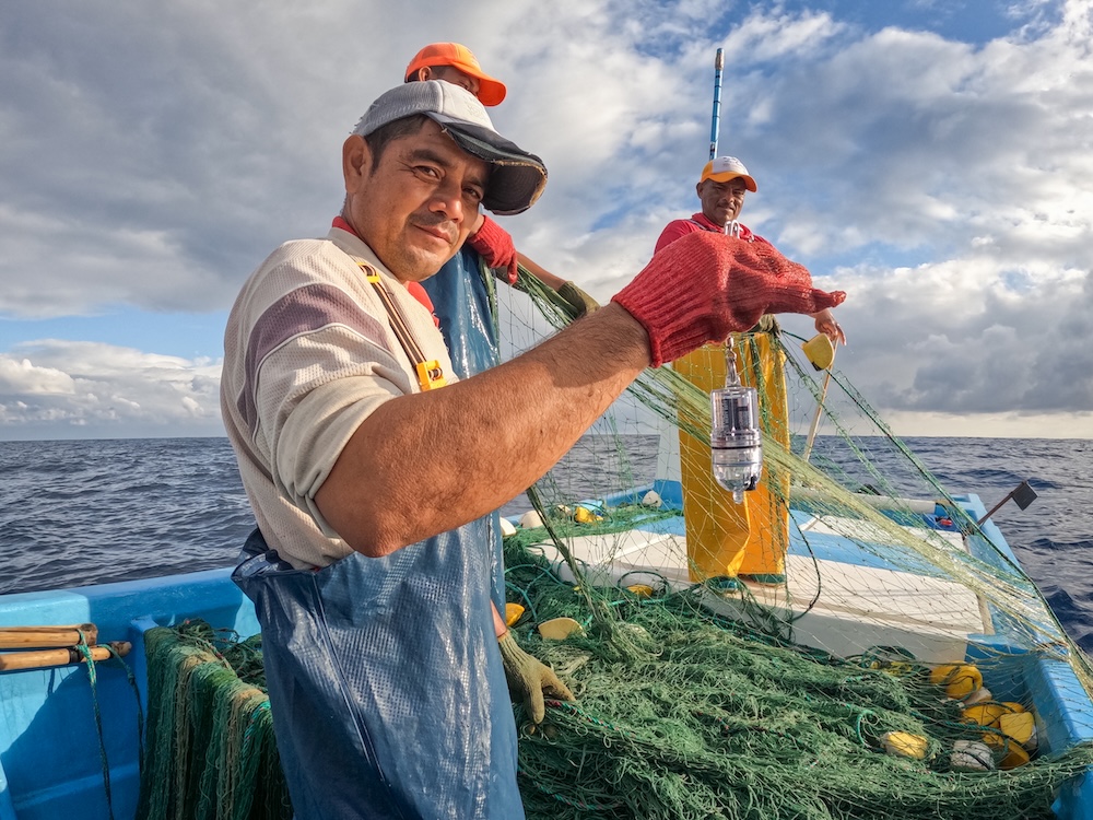 Iluminar el Mar: Reducing bycatch in Ecuador's Artisanal Gillnet ...