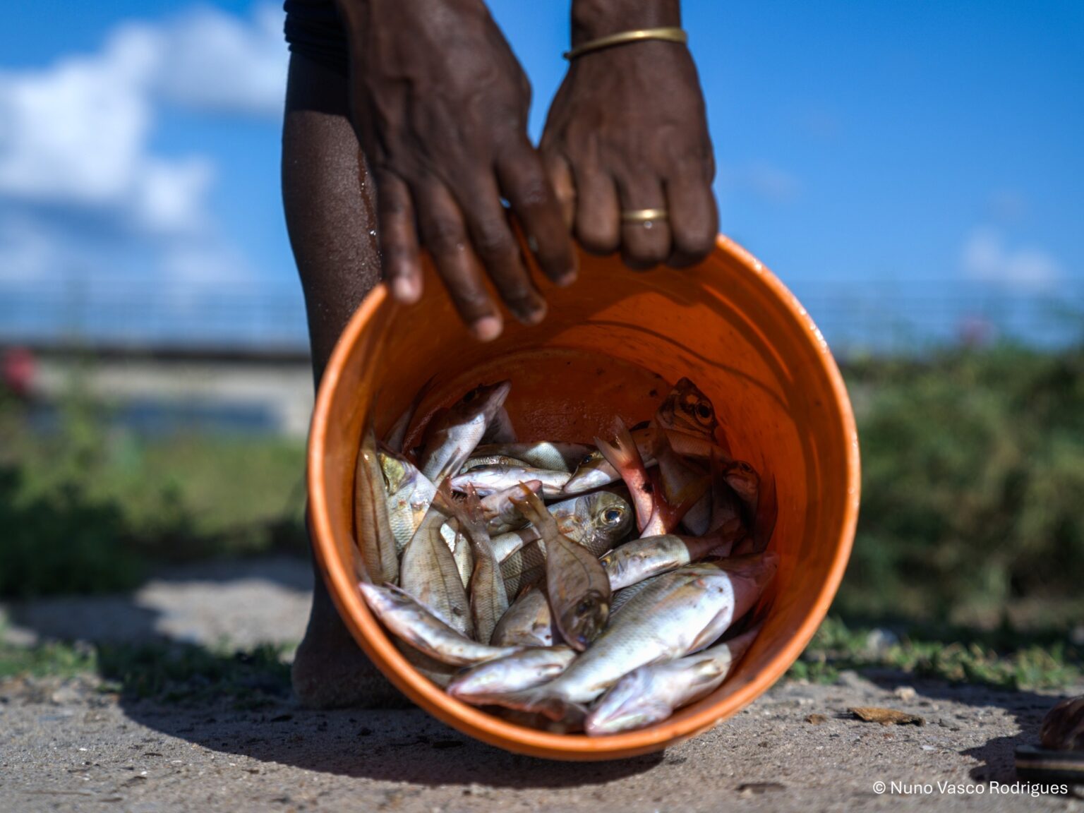 Solar-Powered Coastal Recycling Hubs: Transforming Plastic Waste into ...